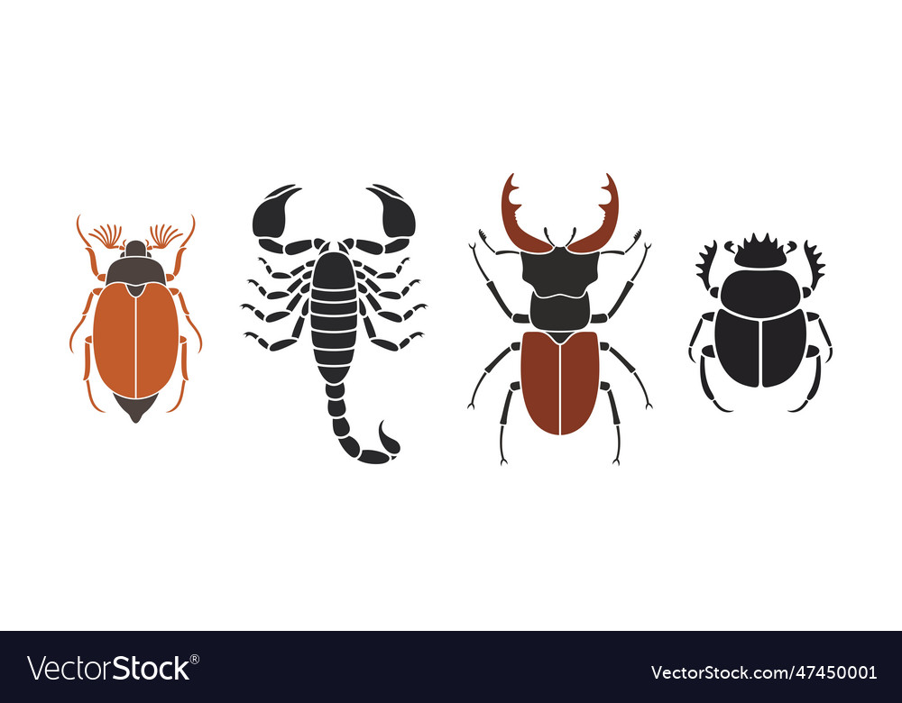 Beetle Royalty Free Vector Image - VectorStock