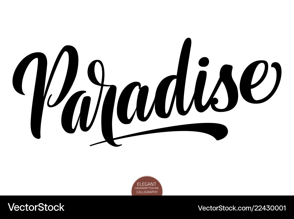Hand drawn lettering paradise elegant isolated Vector Image