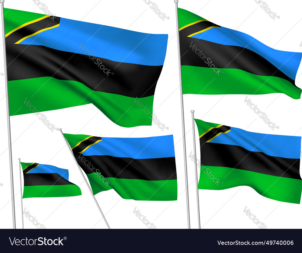Flags of zanzibar Royalty Free Vector Image - VectorStock