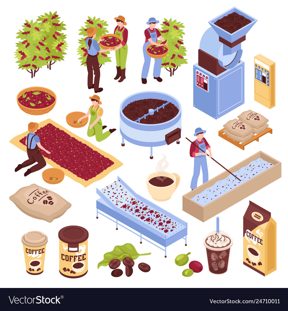 Coffee production elements set Royalty Free Vector Image