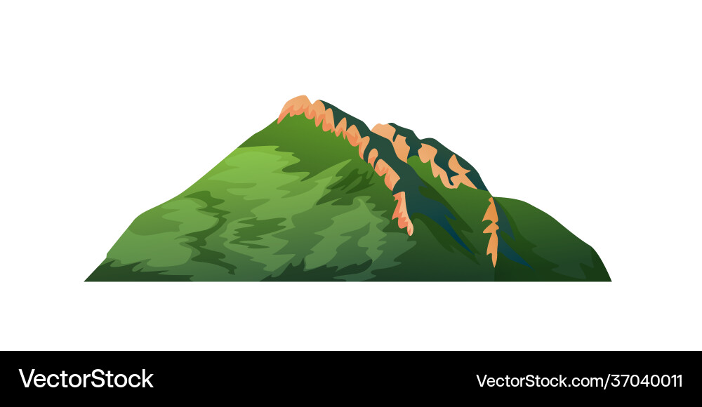 Mountain with green forest and ridge on peak Vector Image