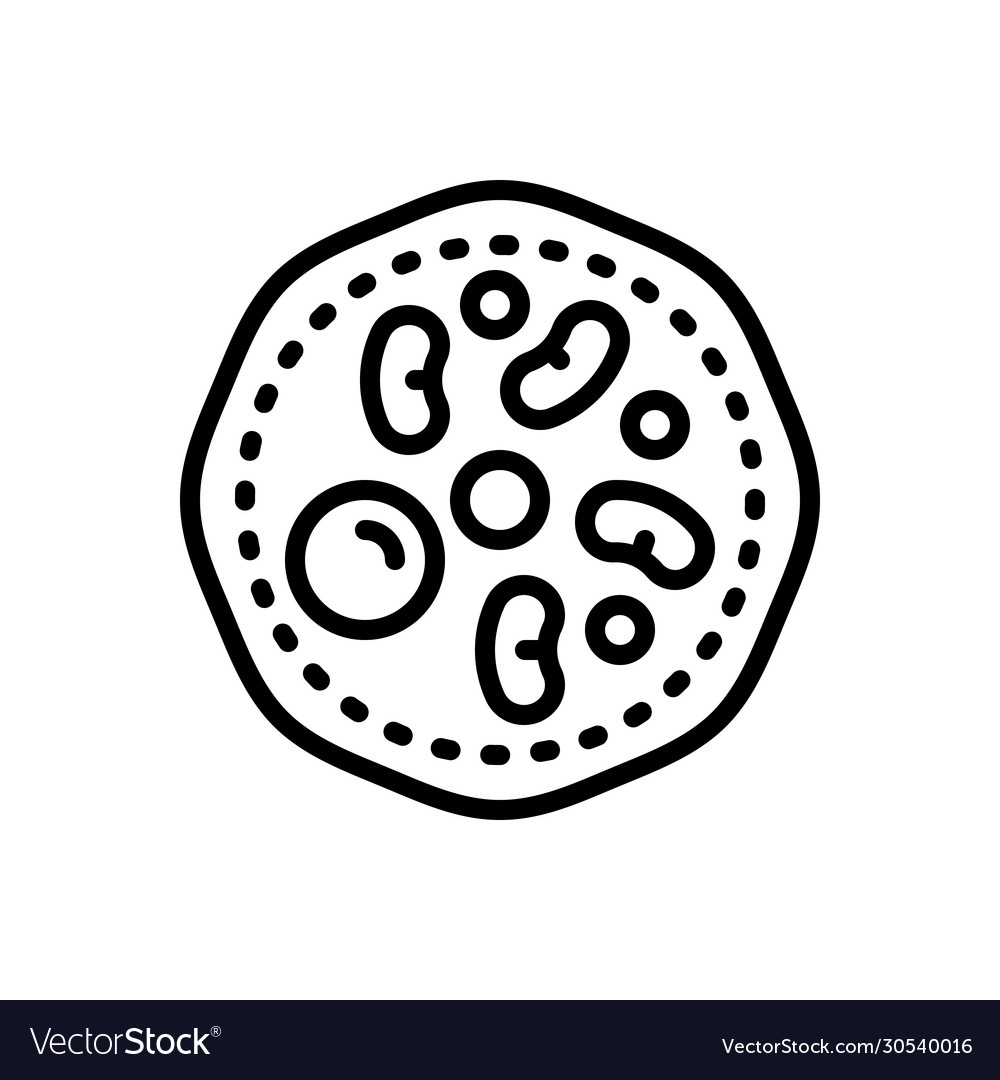 Cell Royalty Free Vector Image - VectorStock