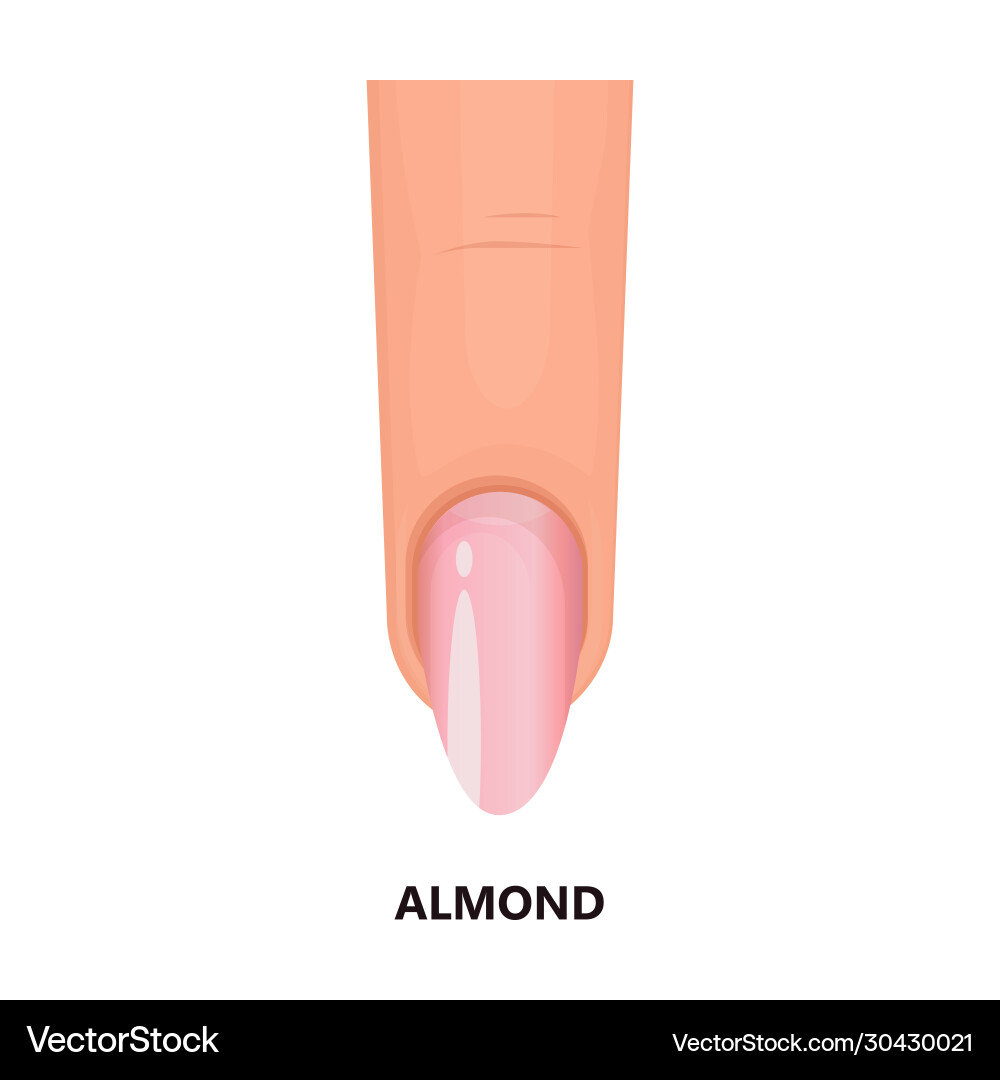 Shape nail iconcartoon icon Royalty Free Vector Image