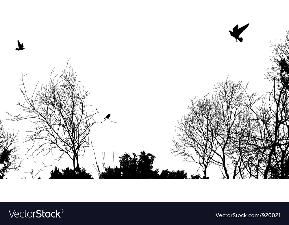 Trees and birds Royalty Free Vector Image - VectorStock