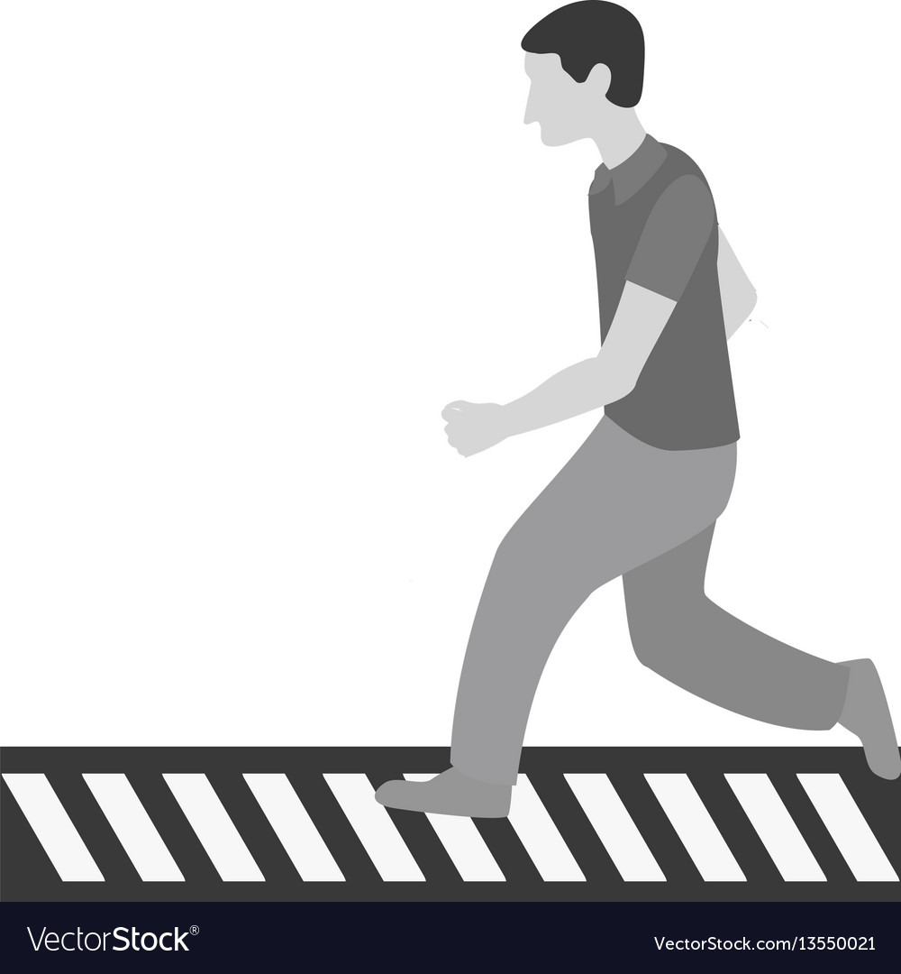 Zebra crossing Royalty Free Vector Image - VectorStock