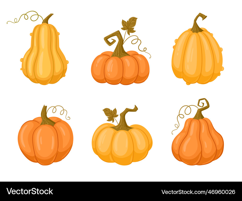Cartoon halloween pumpkins fall harvest squash Vector Image