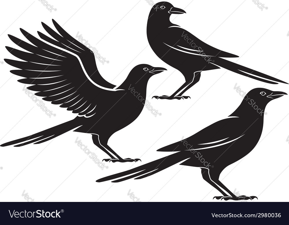 Crow Royalty Free Vector Image - VectorStock