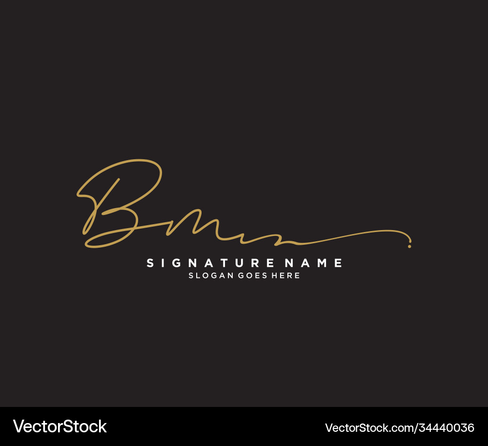 Letter bm signature logo template Royalty Free Vector Image