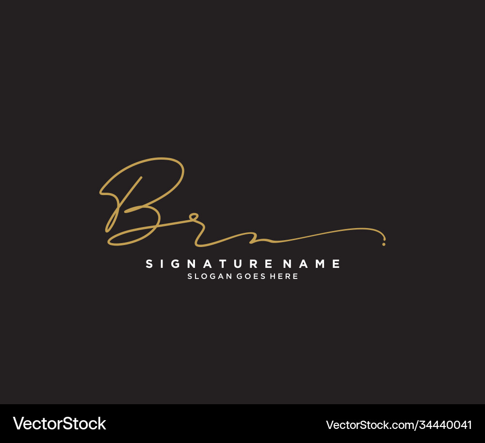 Letter br signature logo template Royalty Free Vector Image