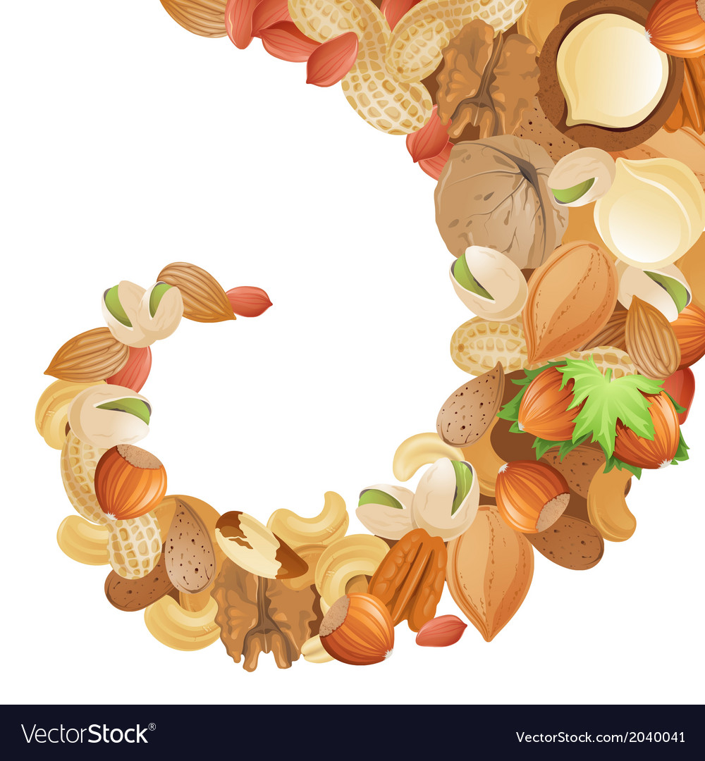 Nuts Royalty Free Vector Image - VectorStock