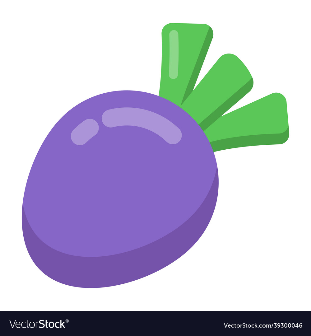 Turnip Vector