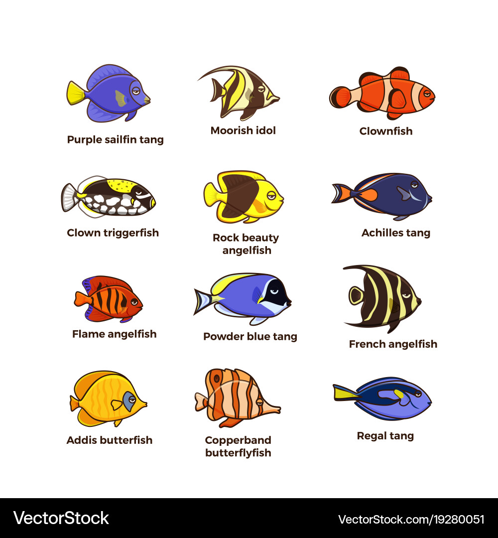 Cute fish icons set tropical Royalty Free Vector Image