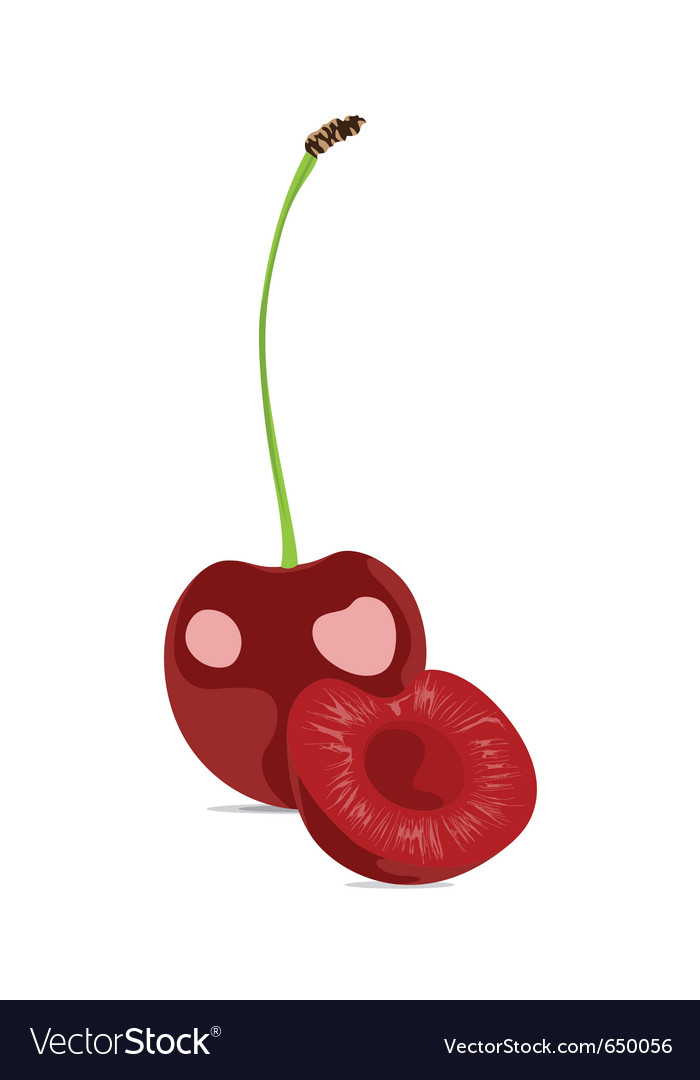Cherry Royalty Free Vector Image - VectorStock