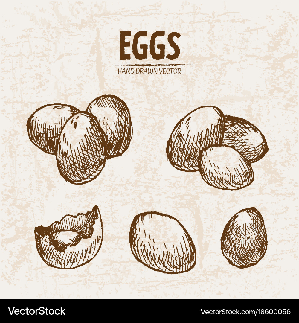 Digital detailed line art splitted Royalty Free Vector Image