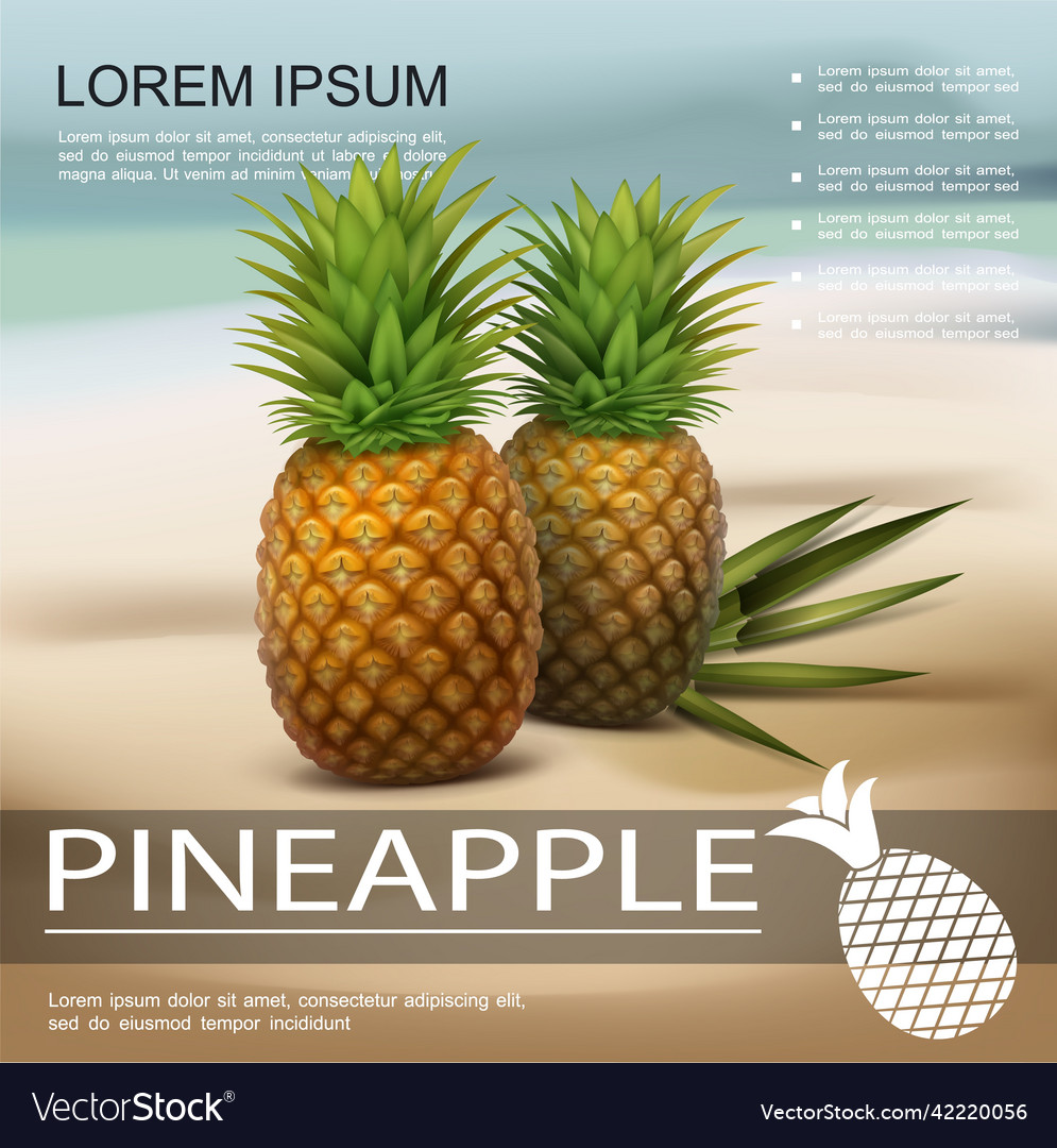 Realistic fresh pineapples colorful poster Vector Image