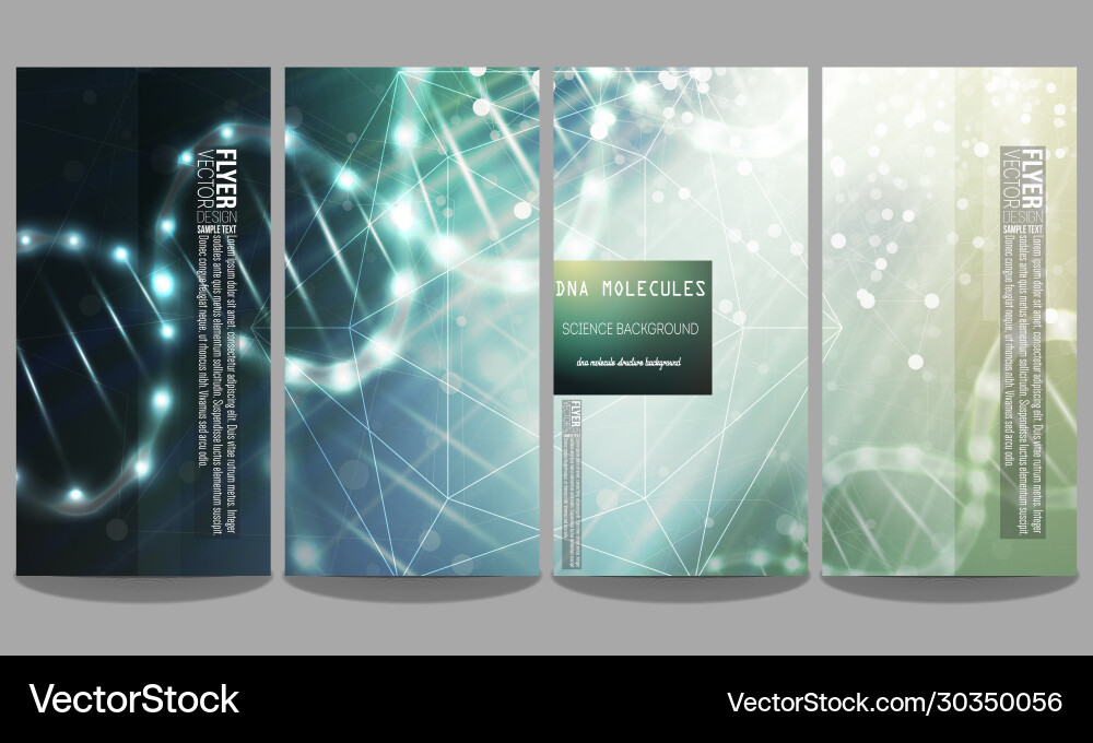 Set modern flyers dna molecule structure Vector Image