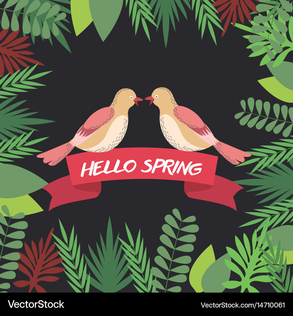 Hello spring greeting card couple bird ribbon Vector Image