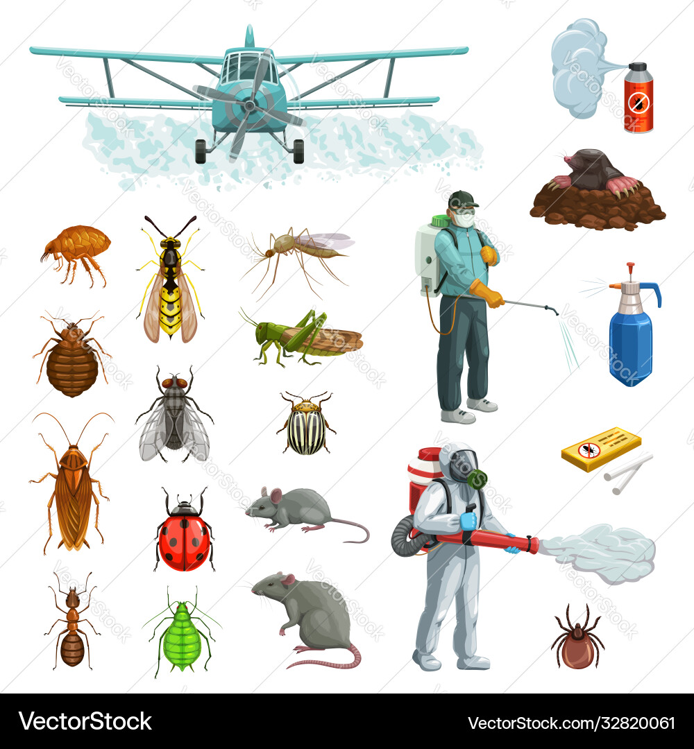 Pest control cartoon set with insects rodent Vector Image