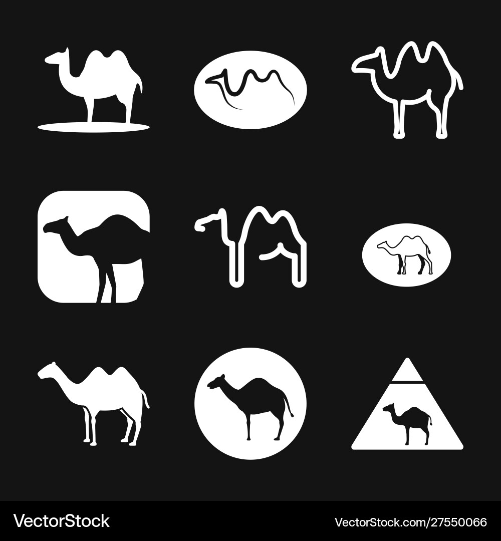 Camel icon symbol african animal for web Vector Image