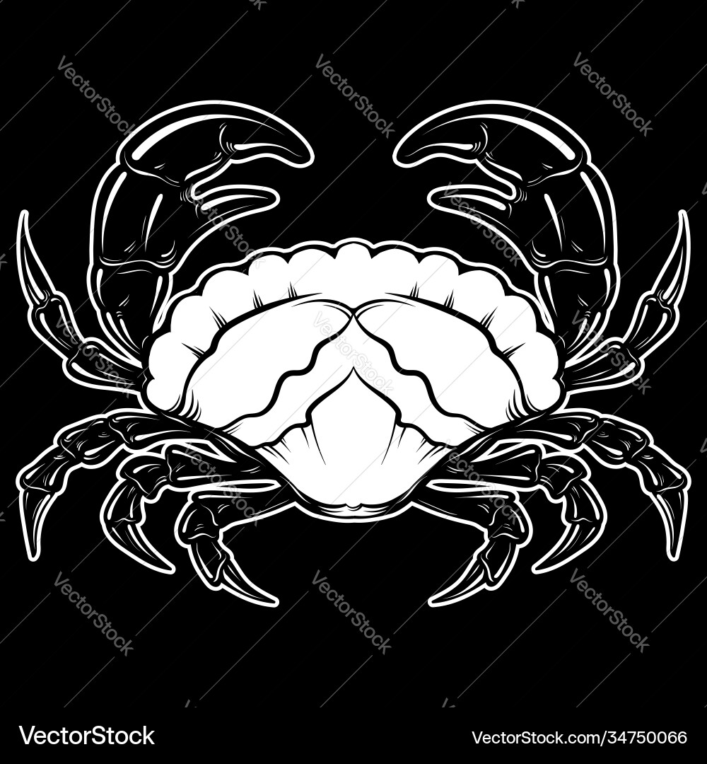Hand drawn crab in realistic style isolated Vector Image