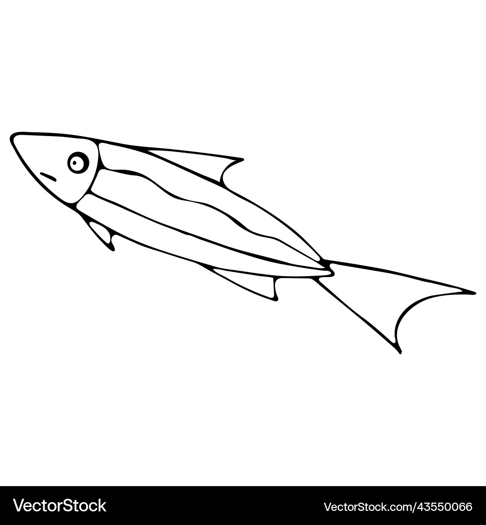 Handdrawn black and white fish doodle sketch Vector Image