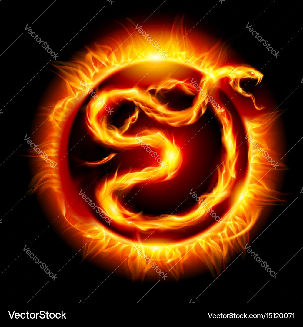 Colorful card with fire snake twenty thirteen new Vector Image