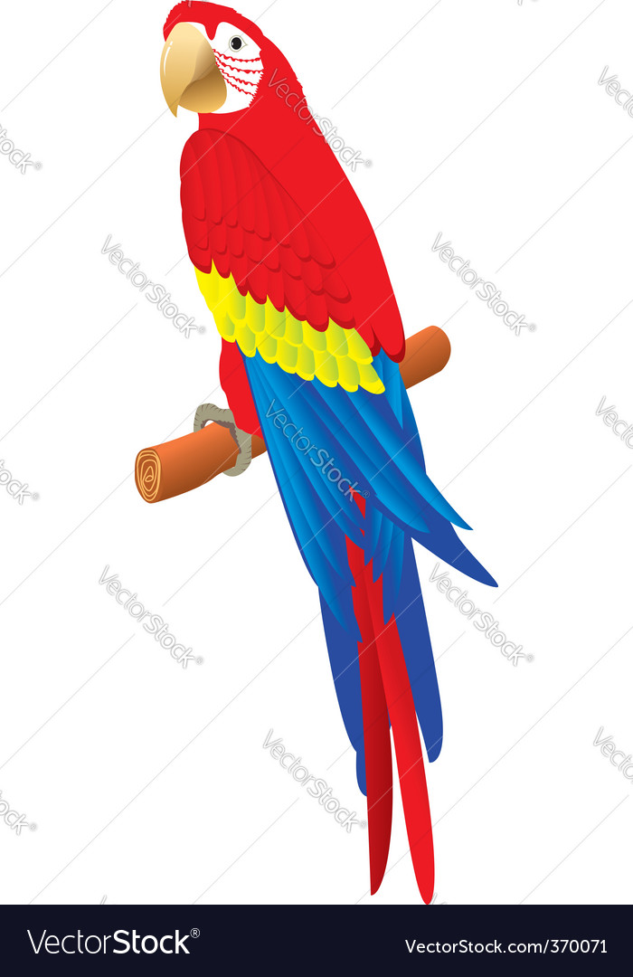 Parrot Royalty Free Vector Image - VectorStock