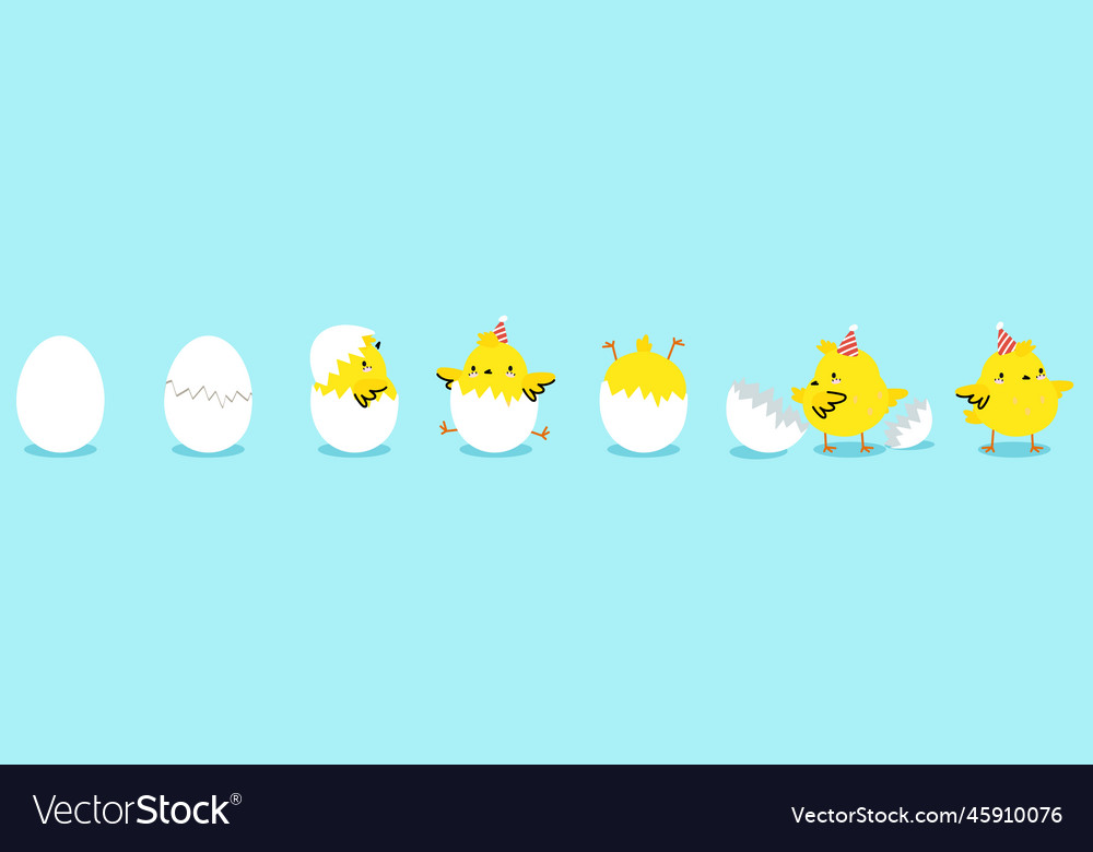Chick hatching process yellow chicken in eggs Vector Image