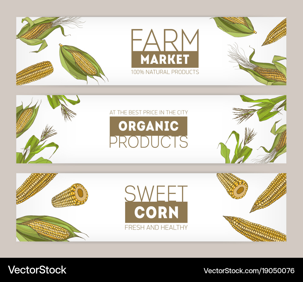 Collection of horizontal banner templates with Vector Image