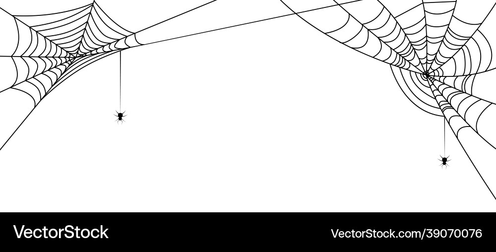 Halloween banner with spiderwebs and spiders Vector Image