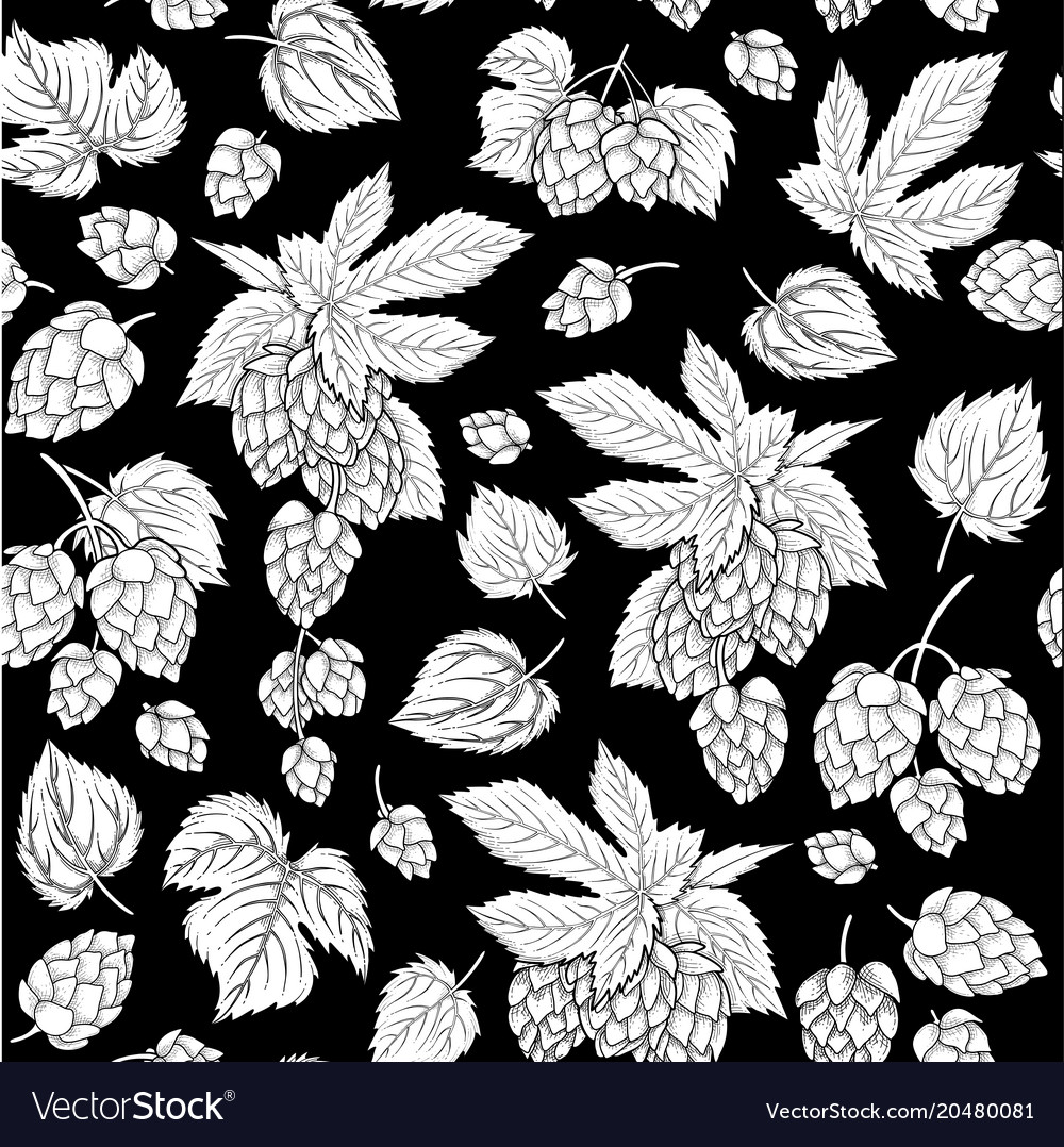 Graphic hops pattern Royalty Free Vector Image