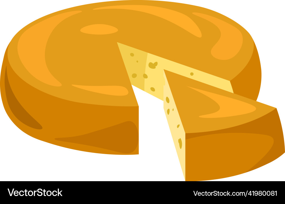 Hard cheese slice dairy products farm made Vector Image