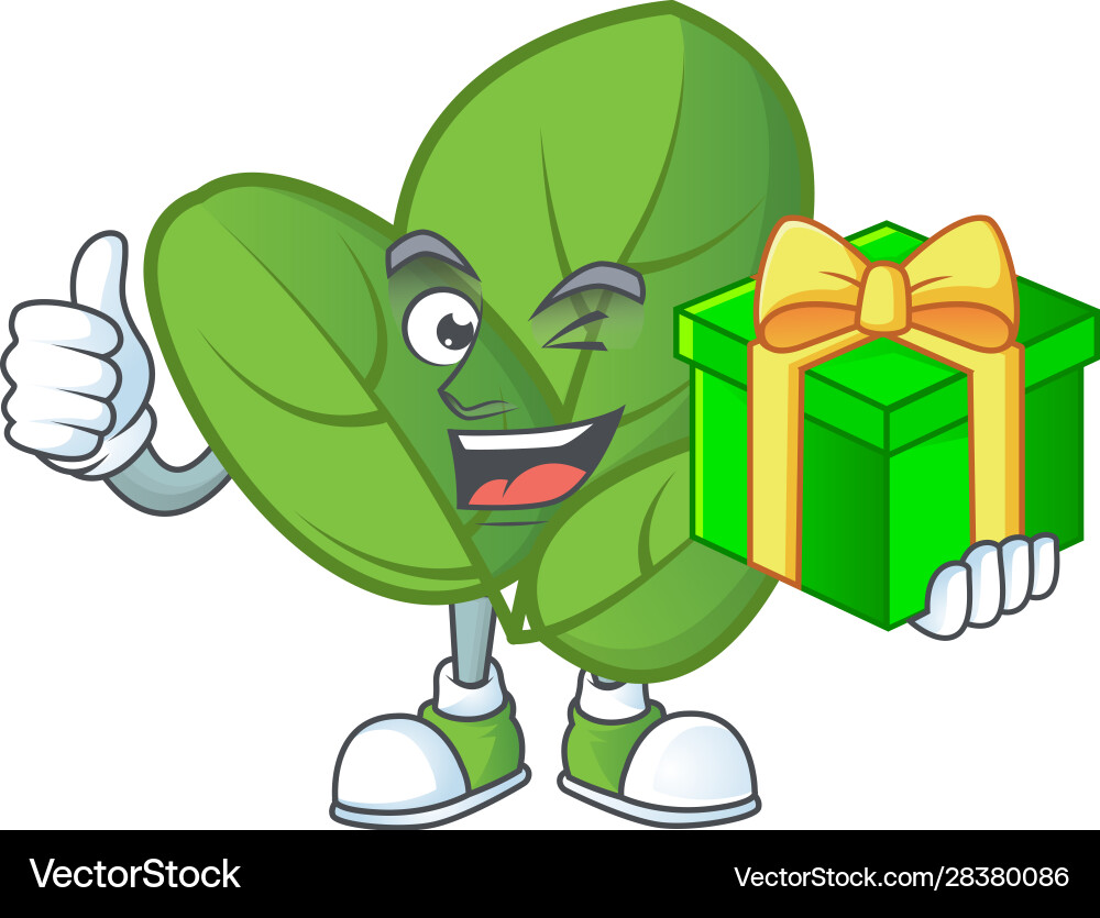 Cartoon character happy basil with gift box Vector Image