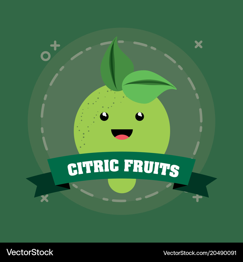 Citric fruits design Royalty Free Vector Image