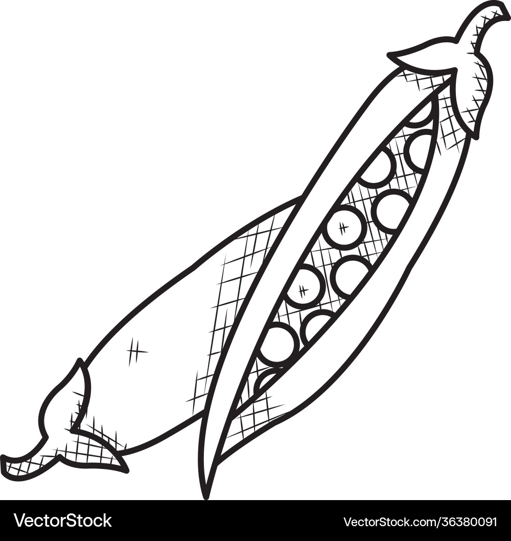 Peas in a pod icon sketch style Royalty Free Vector Image
