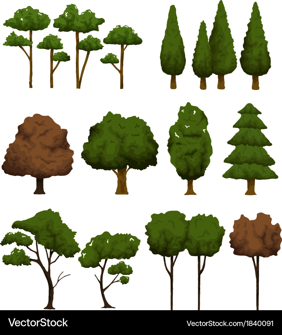 Set of trees for landscape on white background Vector Image