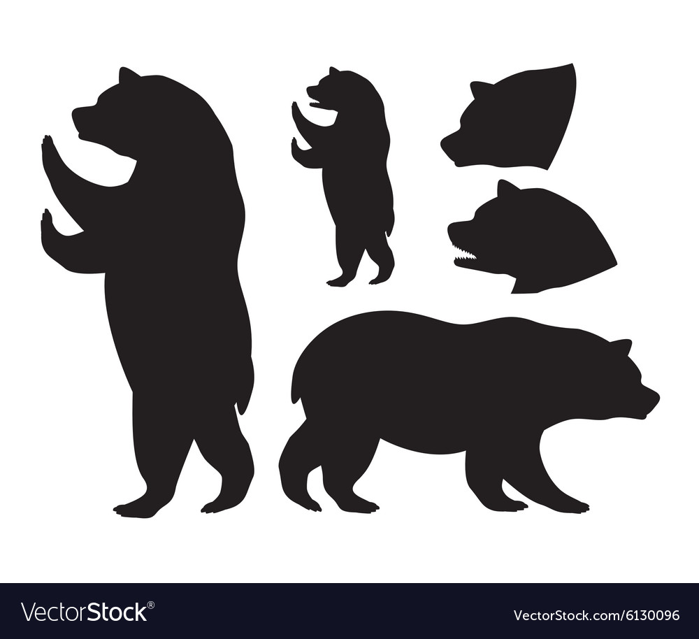 Bear design Royalty Free Vector Image - VectorStock