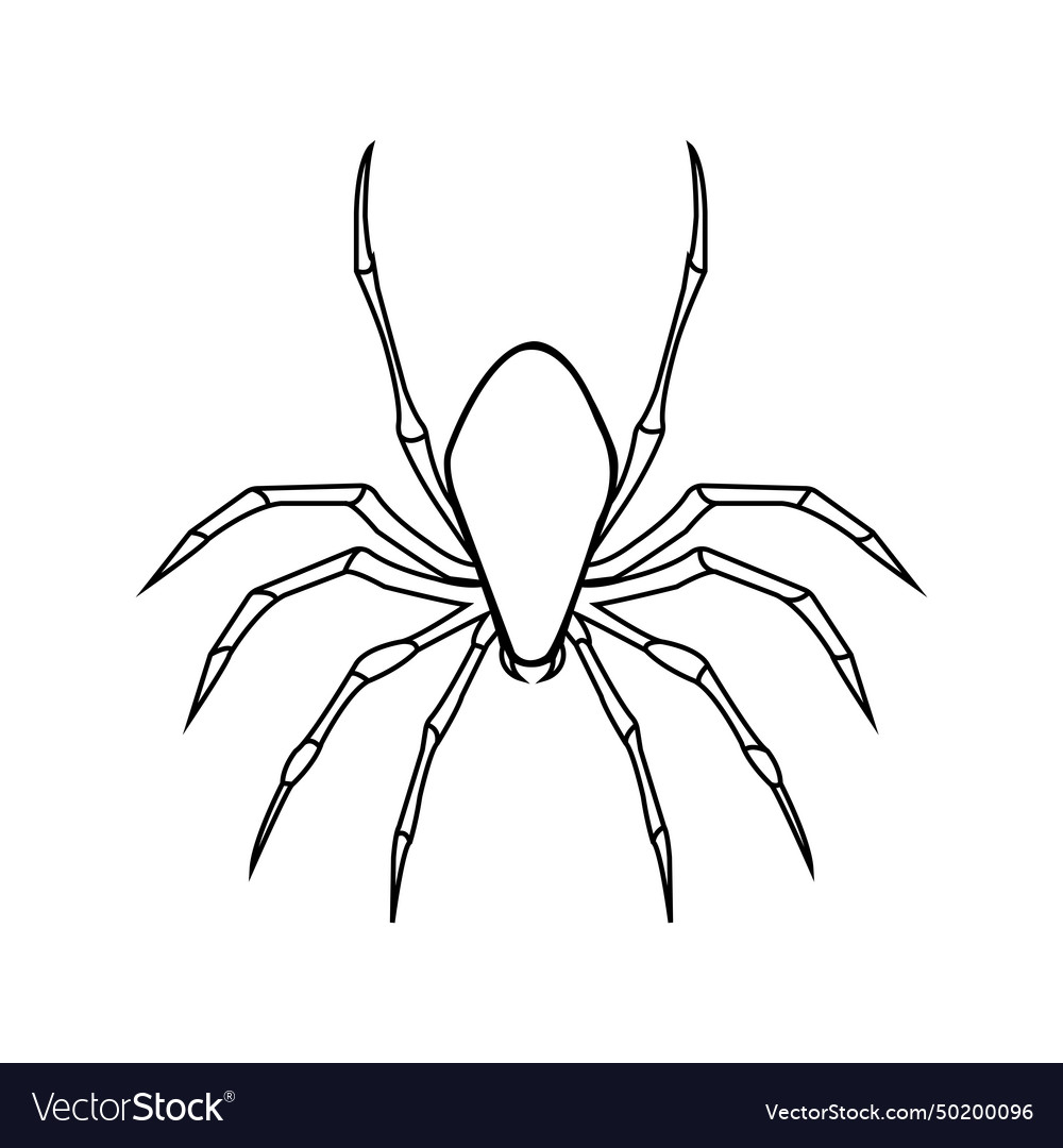Spider icon Royalty Free Vector Image - VectorStock