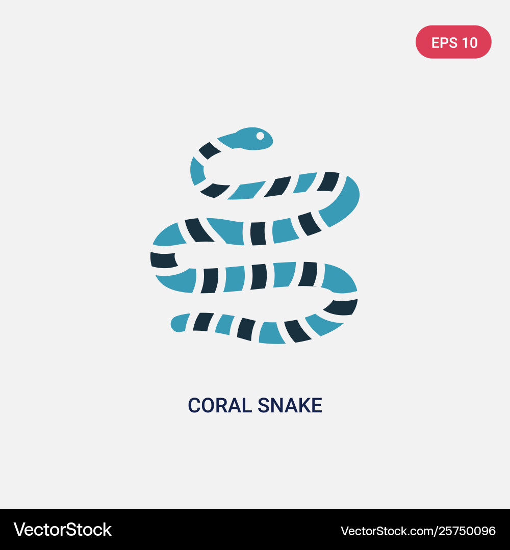 Two color coral snake icon from animals concept Vector Image