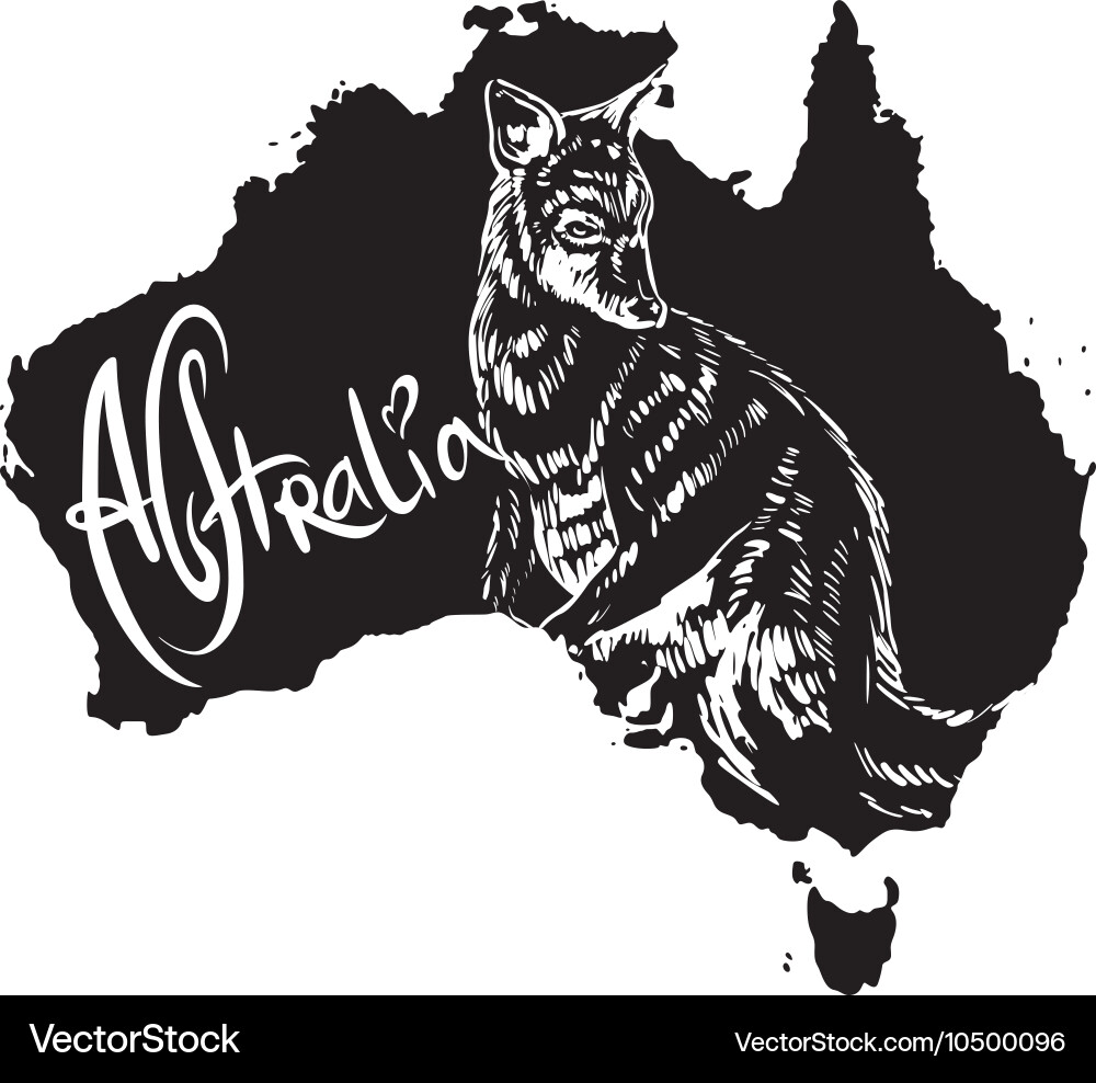 Wallaby on map of Australia Royalty Free Vector Image