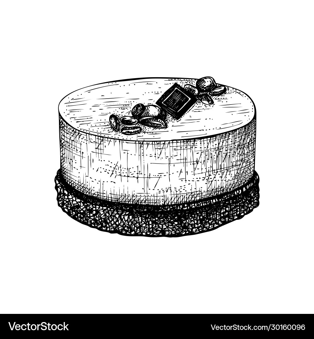 Wedding cake sketch ink hand drawn bakin Vector Image