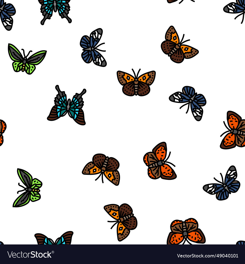 Butterfly summer spring insect seamless Royalty Free Vector