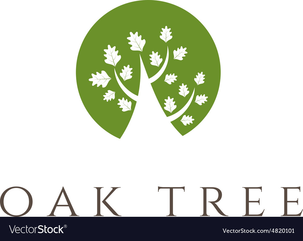 Oak tree icon Royalty Free Vector Image - VectorStock