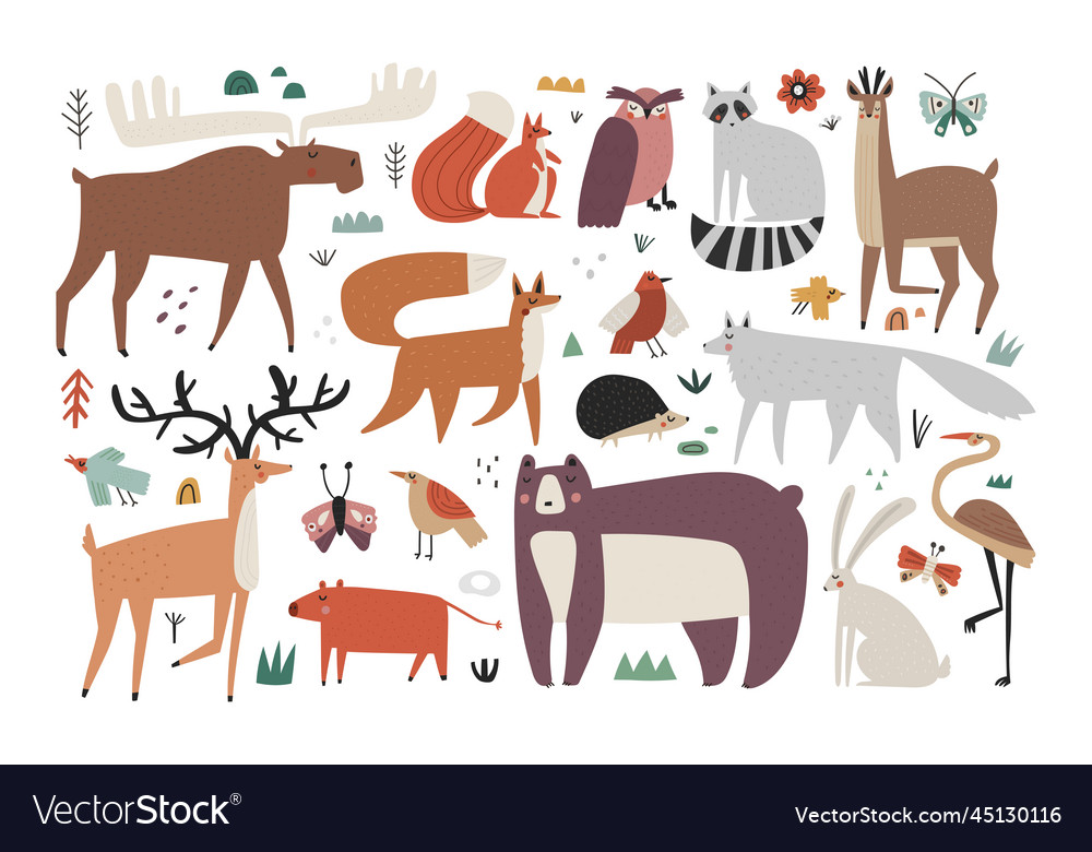 Collection of hand drawn woodland animals Vector Image