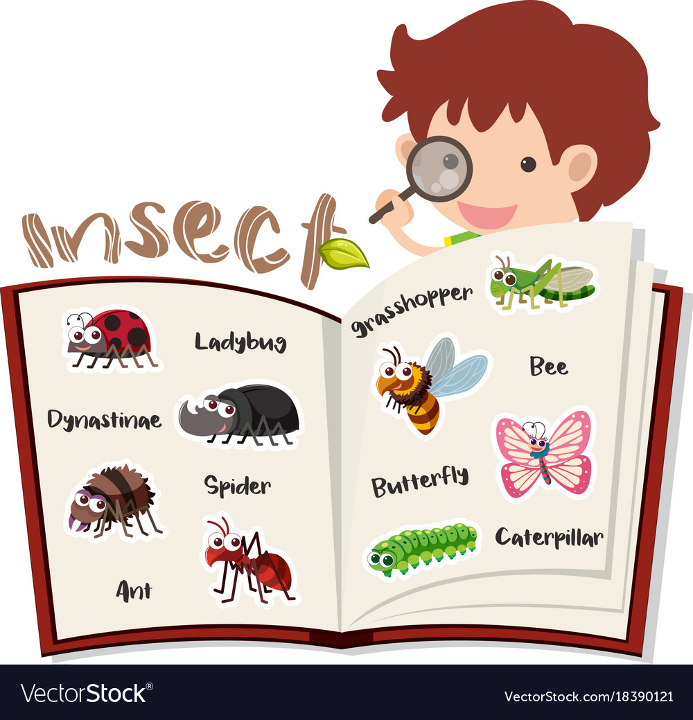 Boy and different insects in book Royalty Free Vector Image