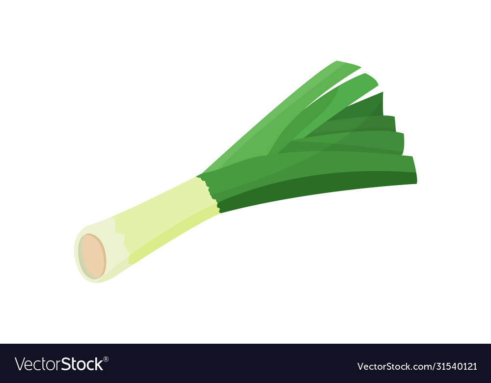 Leek Royalty Free Vector Image - VectorStock