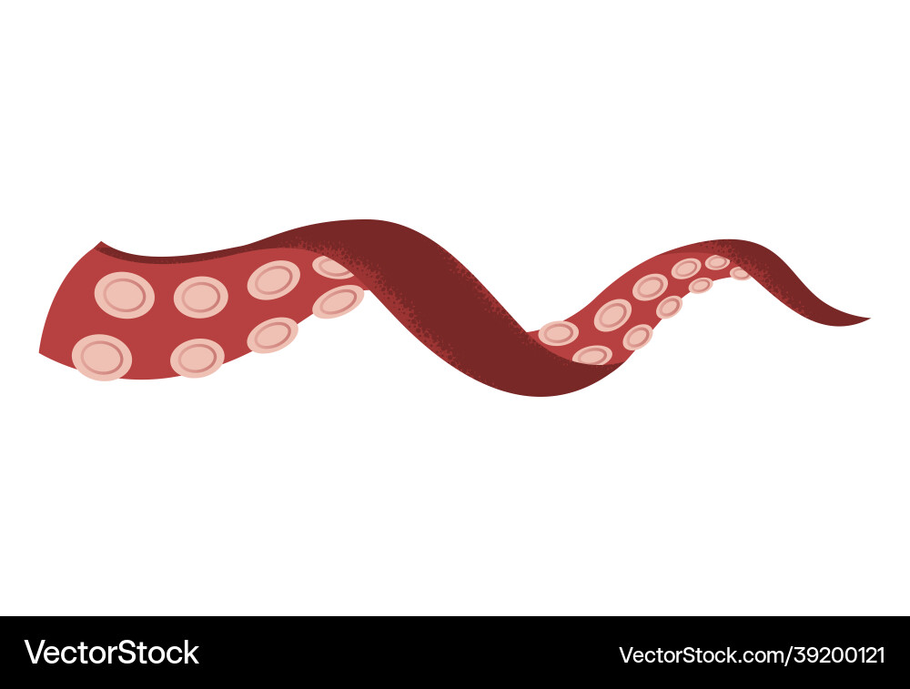 Octopus tentacle underwater animal sea squid Vector Image