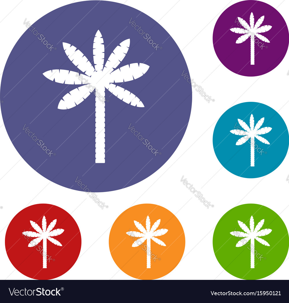 Palm tree icons set Royalty Free Vector Image - VectorStock Palm tree icons set Royalty Free Vector Image - VectorStock