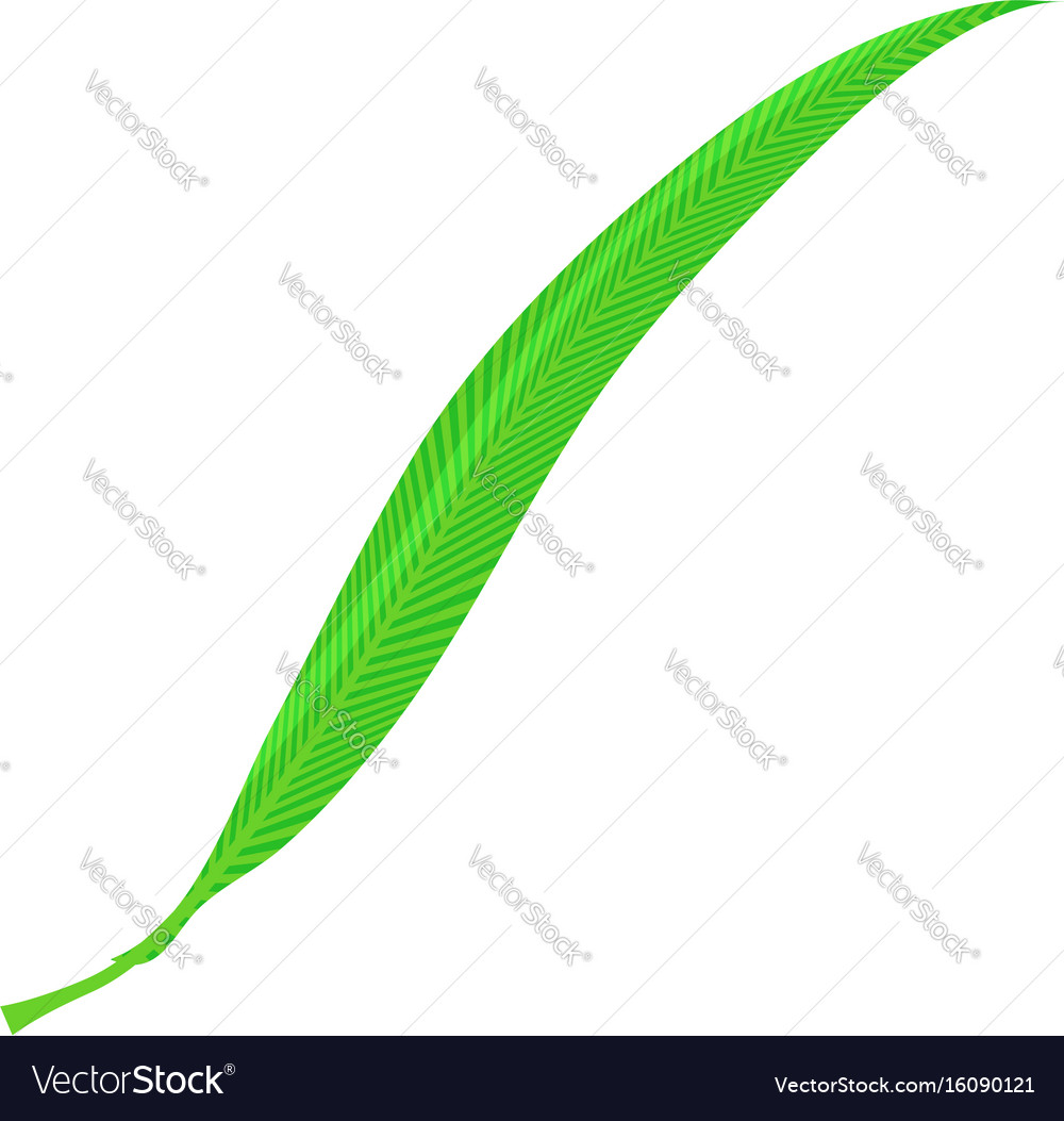 Willow leaf icon cartoon style Royalty Free Vector Image Willow leaf icon cartoon style Royalty Free Vector Image