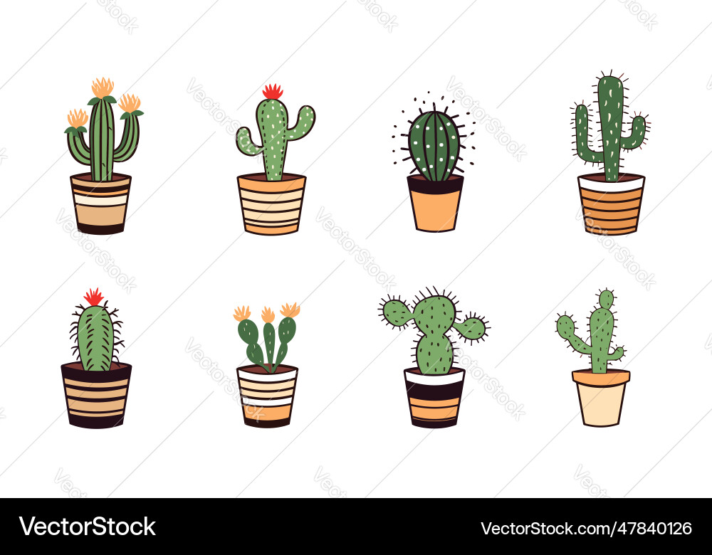 Cactus in pot set in flat cartoon style Royalty Free Vector